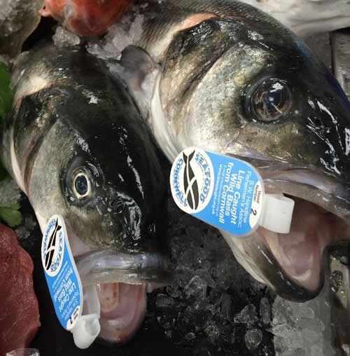 The Fish Shop - Camberley