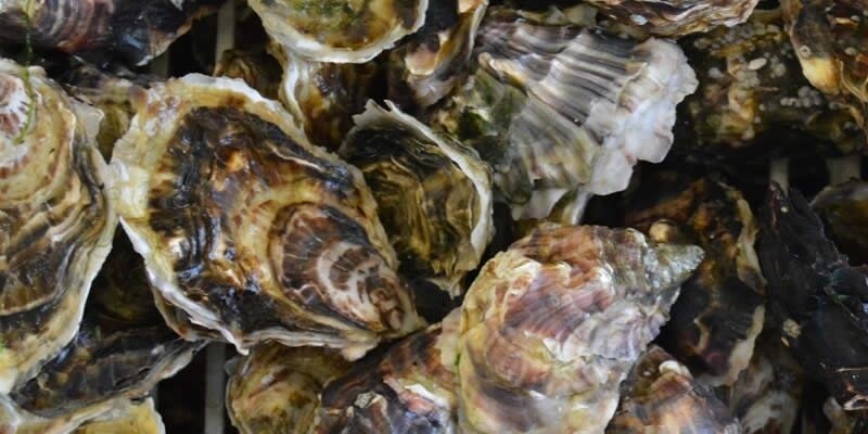 The Fish Shop - Camberley