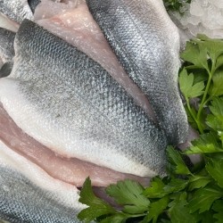 Buy Fresh Fish Online