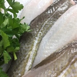 Buy Fresh Fish Online