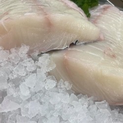 Buy Fresh Fish Online