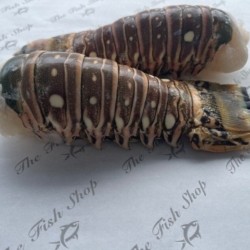 The Fish Shop - Camberley