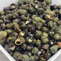 Buy Shellfish Online