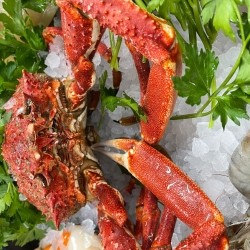 Buy Shellfish Online