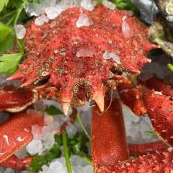 Buy Shellfish Online